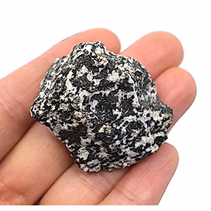 6PK Raw Diorite, Igneous Rock Specimens - Approx. 1" - Geologist Selected & Hand Processed - Great for Science Classrooms - Class Pack - Eisco Labs