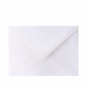 Hallmark UNICEF Boxed Christmas Cards, Peace On Earth Dove (12 Cards and 13 Envelopes) (1XPX2022)