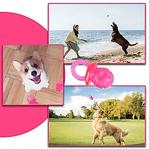 YPWangShengRui 3 Pieces Dog Chew Toys TPR Dog Teething Toys Pacifier Shape Dog Bite Toys for Dogs Indoor and Outdoor Training and Play