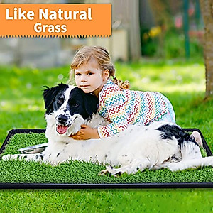 LOOBANI 35in x 23in Extra Large Grass Porch Potty Tray, 2-Pack Replacement Artificial Grass Puppy Training Pads, Quickly Absorbency Portable Dog Patio Potty for Balcony/Apartment Use