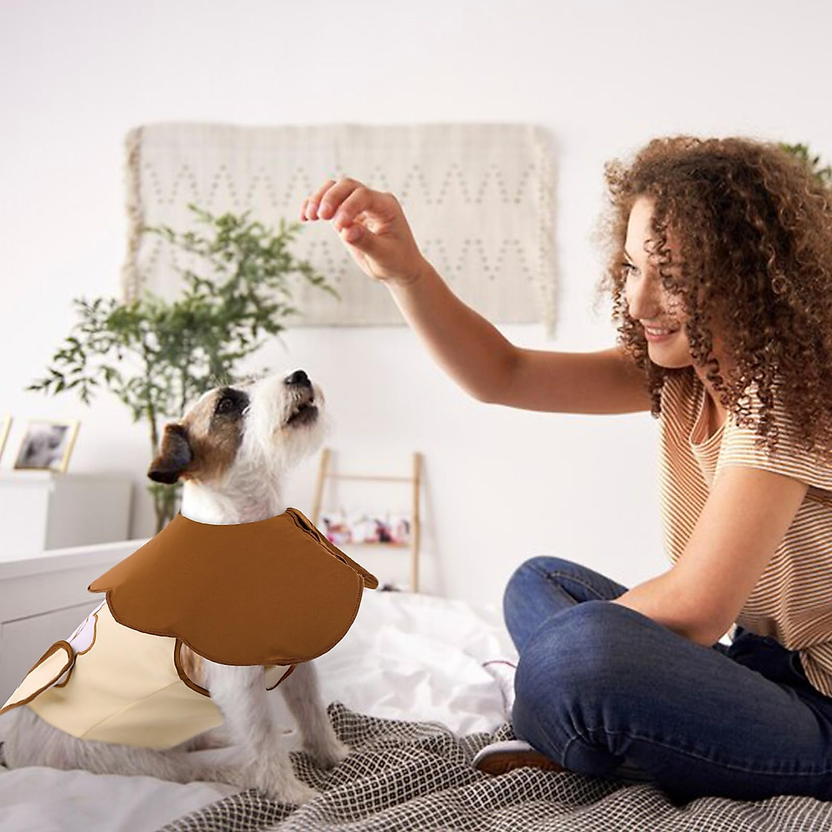 SAWMONG Dog Surgery Recovery Suit with Foldable Cone, Stretch & Cotton Dog Spay Surgical Suit for Female Dogs, After Surgery Dog Onesie with Adjustable Rear Flap, Medium