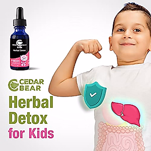 Cedar Bear - Herbal Detox for Kids - Luv Your Guts! a Liquid Herbal Supplement 1 fl oz / 30 ml