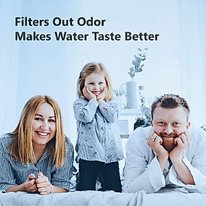 6 Pack Water Filter Replacement for Pur® Water Filter Faucet, Pur® RF-9999®, Compatible with All Pur® Faucet Mount Filtration Systems, NSF Certified, Waterspecialist