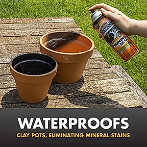 SPECTRUM BRANDS 69000 Spectracide Pruning Seal (Aerosol) (HG-69000) (13 oz), Case Pack of 1,Black