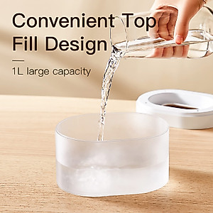 Small Portable 1L Humidifier, Mini Top Fill Cool Mist Air Humidifier, Dual Nozzles Desktop Humidifier for Baby Bedroom Office, Whisper-Quiet Operation, 2 Spray Modes & Night Light Modes, Auto Shut-Off