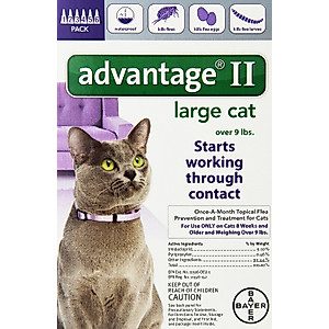 Advantage Flea Control for Cats and Kittens Over 9 lbs 6 Month Supply