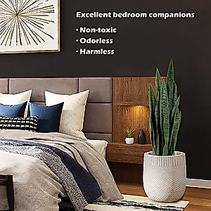 Worth Garden 3ft Artificial Snake Plant Fake Sansevieria Indoor Outdoor, 28 Thick Leaves Lifelike Faux Silk Plant, Home Decor Mother in Law Tongue Plant 35in, Black Pot & 20g Dry Moss Included, Green