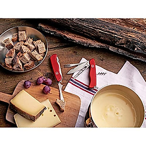 Victorinox Small Toothpick