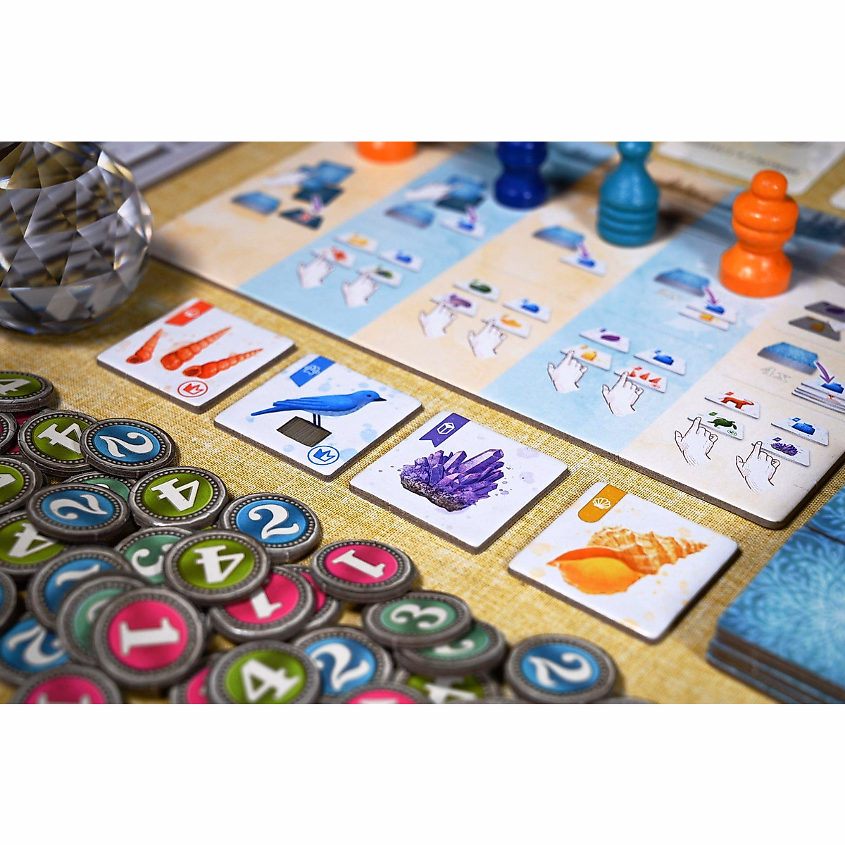 Pencil First Games The Whatnot Cabinet Board Game – A Nature-Themed Game of Collecting Intriguing Objects by Pencil First Games for 1-4 Players
