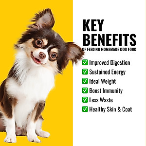 Dog Vitamins Supplements Raw and Homemade Dog Food Multivitamins Minerals Powder 1lb Veggie Flavor