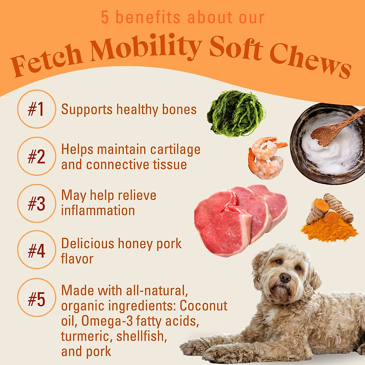 Soft Chew Multivitamin for Dogs - Mobility Focus | Joint Support and Cartilage Supplement for Dogs, Glucosamine HCl, Chondroitin Sulfate, and Curcumin | OTIS Healthy Dog Treats | 90 Counts, 9.52 oz