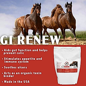 Pennwoods GI Renew, Probiotics for Equine, Immune and Appetite Stimulation, Prebiotics, Digestive Enzymes | Horse Supplement Providing Ulcer Relief and Organic Toxin Binder, 5 LB Pouch
