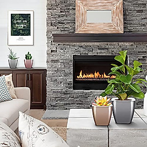 HEMOPLT Self Watering Plant Pots for Indoor Plants - Planters - Pack of 6 4" & 5" African Violet Pots - Orchid Pots - Champagne Gold - Silver - Rose Gold