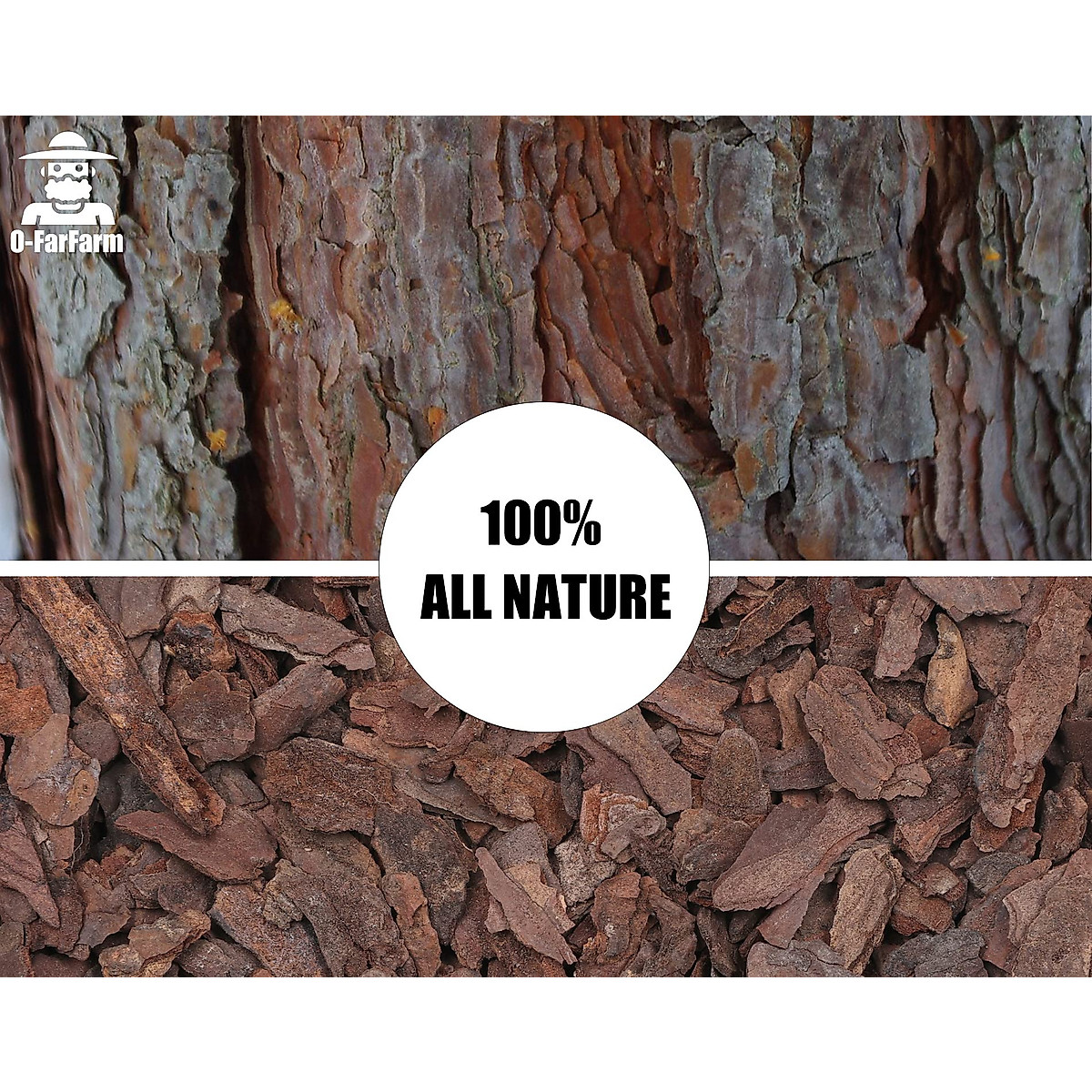 Orchid Bark for Plants Organic Pine Bark for Proper Root Development for Phalaenopsis Cattleyas Dendrobiums Oncidiums Paphiopedilums and More (1qt Medium(12-18mm))