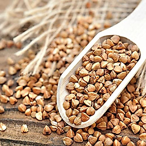 Buckwheat Seeds - 5 Pounds - White Flower Seeds, Open Pollinated Seed Attracts Pollinators, Easy to Grow & Maintain, Fast Growing,