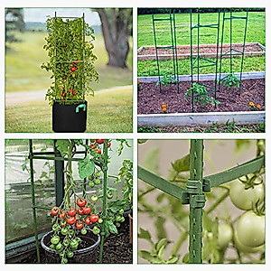 GROWNEER 6 Packs Plant Cages Assembled Tomato Garden Cages Stakes Vegetable Trellis, with 6Pcs 10 Gallon Grow Bags, 18Pcs Clips and 328Ft Twist Tie, for Vertical Climbing Plants