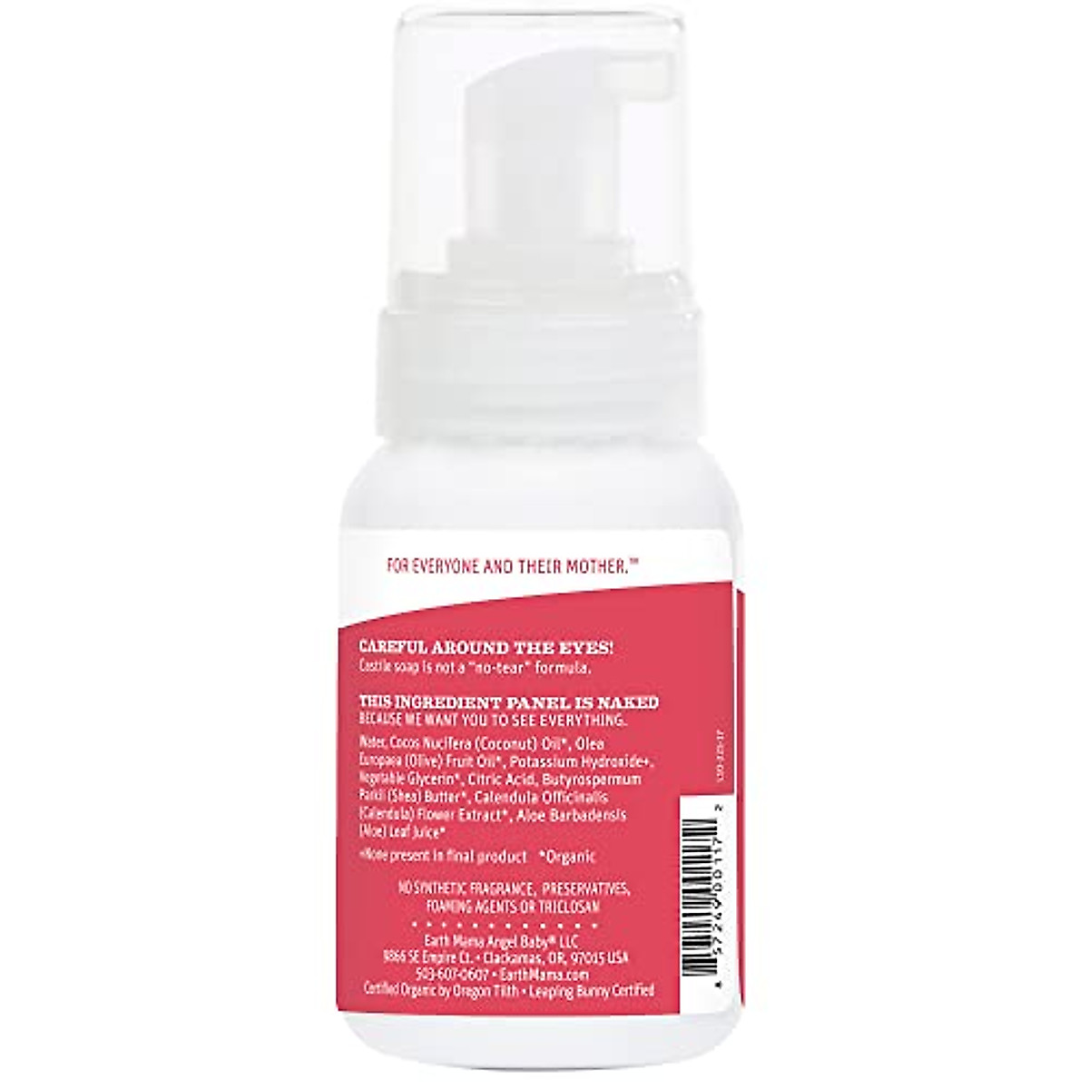 Earth Mama Simply Non-Scents Foaming Hand Soap | Fragrance-free with Organic Calendula + Rooibos for Sensitive Skin, 5.3-Fluid Ounce