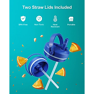 BUZIO Insulated Water Bottle for Kids (2 Pack), Modern Vacuum Insulated Hydro Bottle Leak-proof with Straw Lids, 14oz Double Walled Wide Mouth Sports Drink Flask, Blue Dinosaur