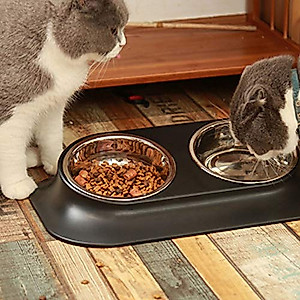 Raised Cat Bowl Pet Bowl,Stainless Steel Elevated Small Dog Bowls,15°Tilted Whisker Reliefs Fatigue Free Stress Anti Vomiting Cat Food Water Bowls,Non Slip Cat Feeding Bowls（Double Bowl）