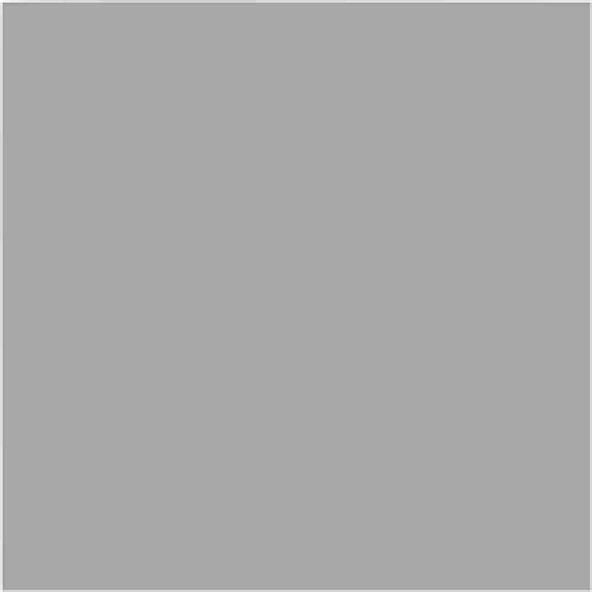 Rubbermaid Commercial Products Brute Rollout Trash/Garbage Can/Bin with Wheels, 95 GAL, for Restaurants/Hospitals/Offices/Back of House/Warehouses/Home, Gray (FG9W2200GRAY)