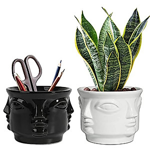T4U Face Succulent Pots with Drainage 2-Pack - Small Ceramic Head Succulent Planter for Tiny Cactus, Herb, Bonsai Plant, Mini Flower Pot for Indoor Home Office Living Room Decor (No Plants)