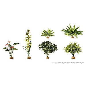 Exo Terra,Reptiles, Amphibians Boston Fern Terrarium Plant, Medium