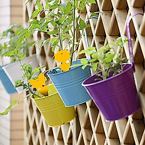 48PCS Fruit Fly Sticky Traps, Fungus Gnat Traps Insect Trap for Plants Kitchen Indoor and Outdoor（48 Lemon Yellow ）