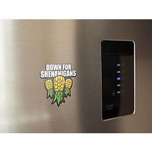 Down for Shenanigans Upside Down Pineapple Magnet for Cruise Door, Refrigerator and Car Bumper, Swinger Lifestyle Gifts, Size 4in