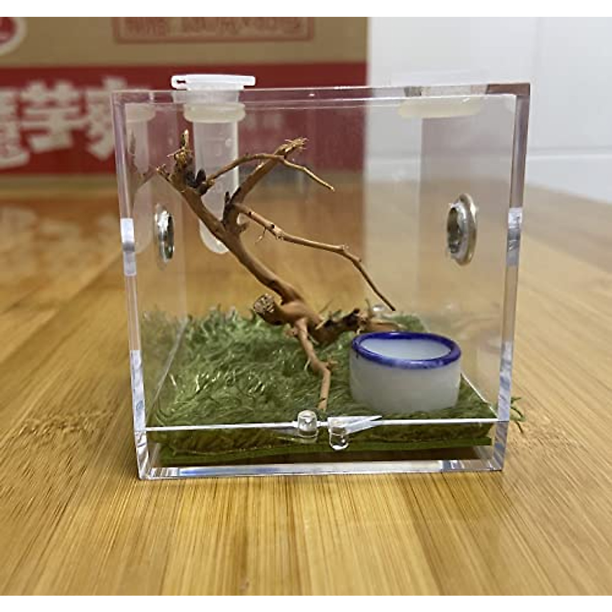 AWXZOM Spider Terrarium, Acrylic Reptile Breeding Box Jumping Spider Enclosure with Dropper Tongs Snail cage, Cricket Enclosure arboreal Tarantula Habitat