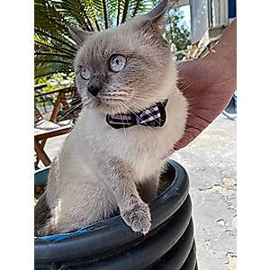 SuperBuddy Cat Collars Breakaway with Cute Bow Bell - 2 Pack Kitten Collar Plaid Cat Collar with Removable Bowtie for Cats Kittens