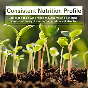 Old Potters Organic Compost - Plant Based Potting Soil - Home, Garden Organic Fertilizer - Complete Food for Plants - Boosts Plant Growth - Use for Indoor and Outdoor Farming ~15 lbs, (12 Quarts)