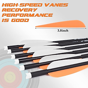 TY Archery Carbon Crossbow Bolts 16/18/20/22 inch Hunting Archery Arrows with 4" Vanes Moon Nocks and Removable Tips (Pack of 12)