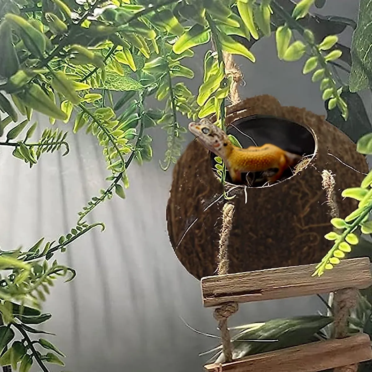 MUYG 5PCS Coconut Hut for Gecko, Lizard Coco Den with Ladder and Reptile Hammock Bearded Dragon Tank Accessories Climbing Hanging Plants Jungle Vine Flexible Reptile Leaves Decor