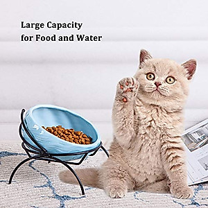 Jemirry Ceramic Elevated Cat Bowl Anti Vomiting, 15° Tilted Food and Water Cat Bowl Set, Raised Pet Bowl with Non-Slip Stand for Cat and Dog, Protect Pet's Spine, Microwave Dishwasher Safe, Sky Blue