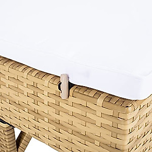 SAFAVIEH Outdoor Collection Cam Natural Brown Wicker/White Cushion Adjustable Chaise Lounge Chair, Black/Beige (PAT7501D)