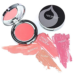 Juice Beauty Phyto-Pigments Last Looks Cream Blush - 02 Seashell - 3 g - Sheer-to-Bold Color for Cheeks, Lips + Eyes - Vegan, Cruelty Free