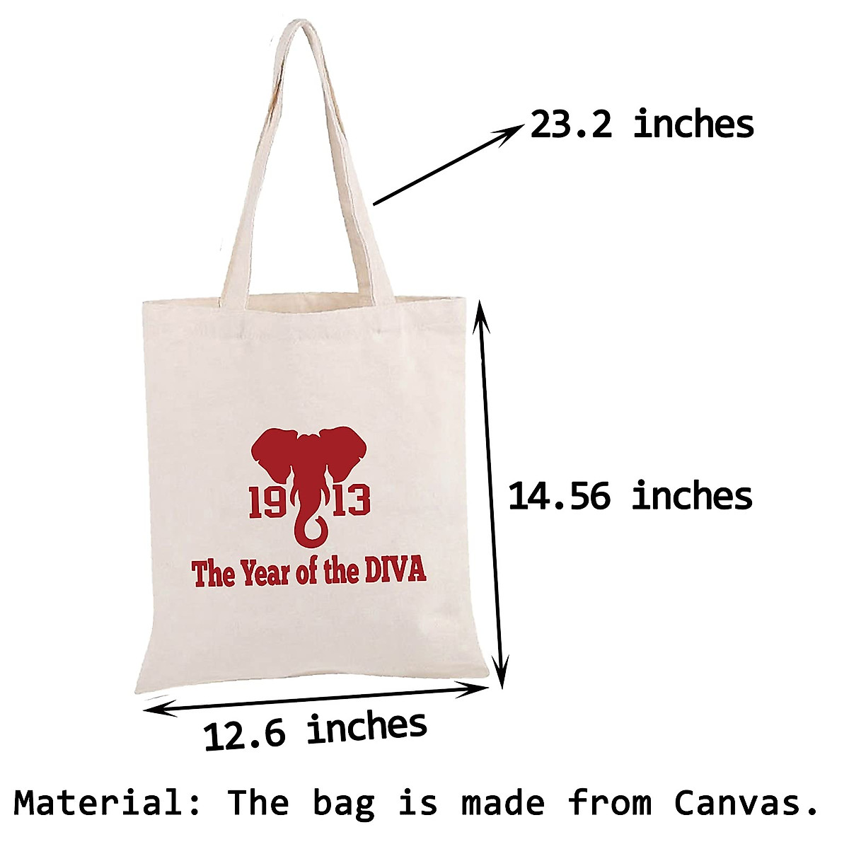 Sorority Tote Bag 1913 The Year of the Diva Tote Bag Gift Greek Sorority Sister Gift (Year of the Diva Tote B)