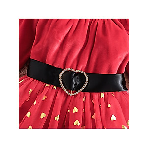 Spring hue Infant Toddler Girls Valentines Day Dress Outfit Love Heart Printed Velvet Long Sleeve Belted Tulle Dress A red 18-24 Months