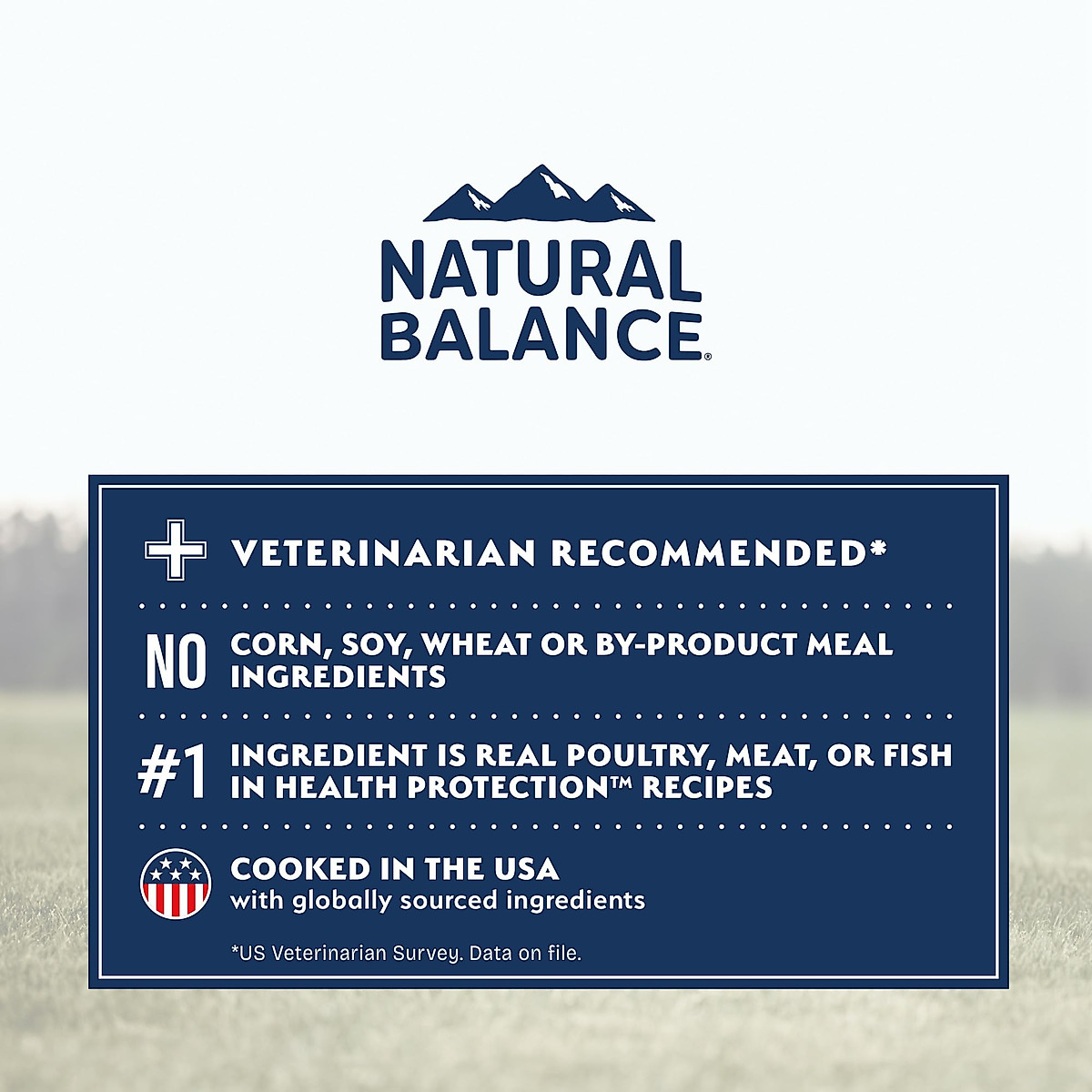 Natural Balance Health Protection Small Breed Dry Dog Food – Whole Body Health, Easy on Digestion Dog Food Made with Chicken, Brown Rice & Pumpkin for Dogs - 4lbs.