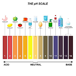 2 Pack pH Test Strips Universal pH 1-14 Test Paper Litmus Test Paper 160 Strips for Saliva Urine Water Soil and Chemistry Experiments (2 Pack with Storage Case)