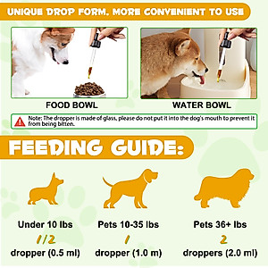 Allergy Relief Drops for Dogs, Allergy Immune Booster Treatment for Seasonal Allergies & Digestive, Healthy Immune System, Dog Supplement with Milk Thistle and Turmeric, Bacon Flavor - 60ml / 2 fl.oz
