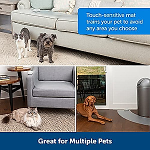 PetSafe ScatMat Indoor Training Mat, Sofa, 60 in X 12 in