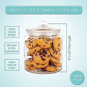 Set of 3 Glass Jar with Lid 1 Liter | Airtight Glass Storage Container for Food, Pasta, Coffee, Candy, Dog Treats, Snacks | Glass Organization Canisters for Home & Kitchen | 34 Ounces