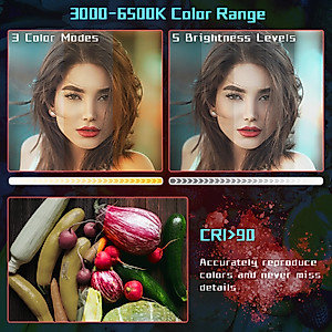 Eicaus 100 LED Rechargeable Selfie Phone Light with Clip,Camera Fill Light for Pictures,Video iPhone Light for Video Conferencing, Portable Light for influencers, Tiktok