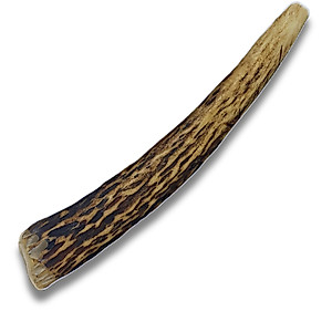 WhiteTail Naturals - Premium Deer Antlers for Small Dogs - Naturally Shed Dog Antler, Long Lasting Chew Bone for Puppies and Smaller Breeds