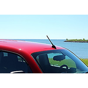 AntennaMastsRus - 8 Inch Screw-On Antenna is Compatible with Ford Fusion (2006-2020)