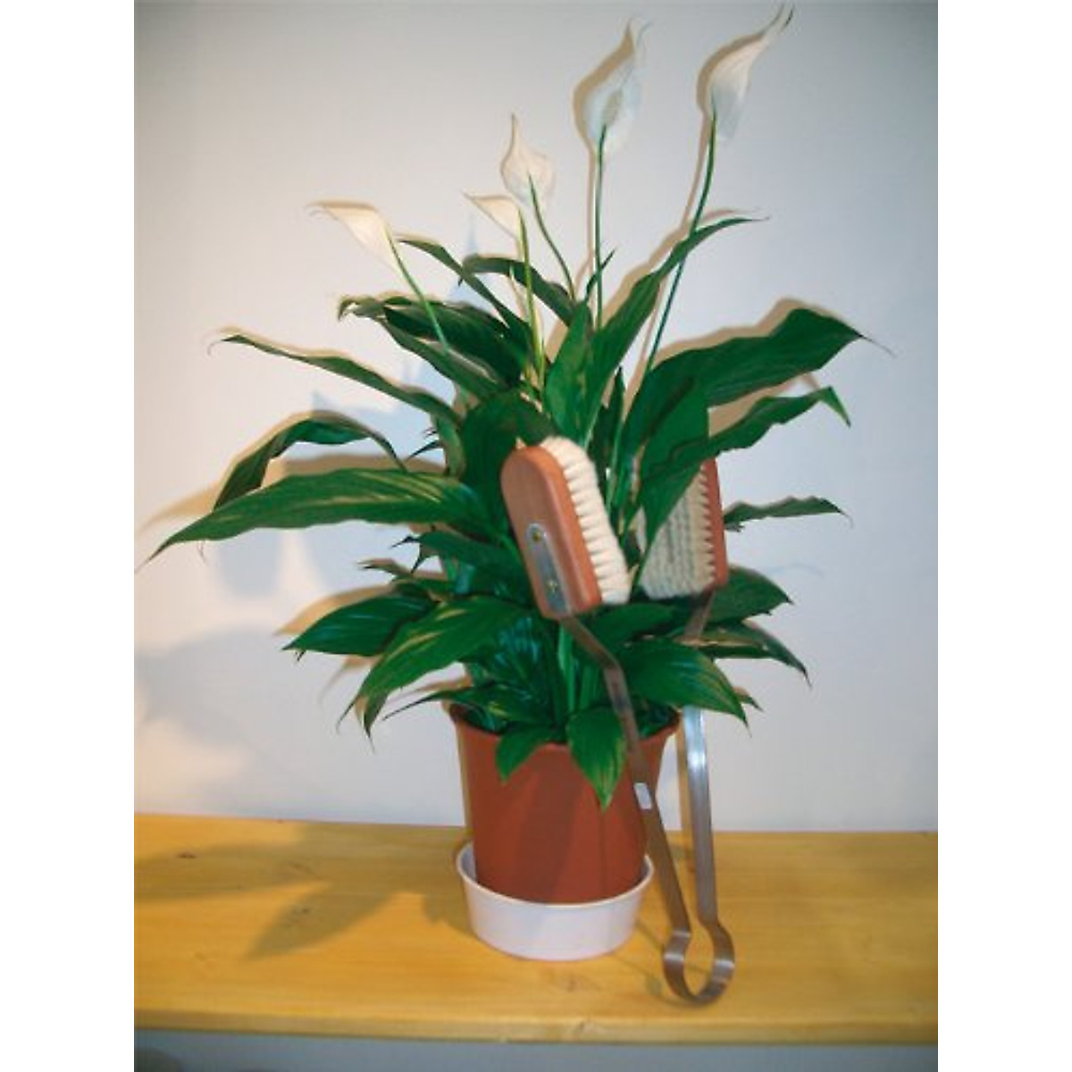 Redecker Goat Hair Leaf Cleaning Brush with Oiled Pearwood Handle, Dust Removal for Houseplants, 13-3/4-Inches