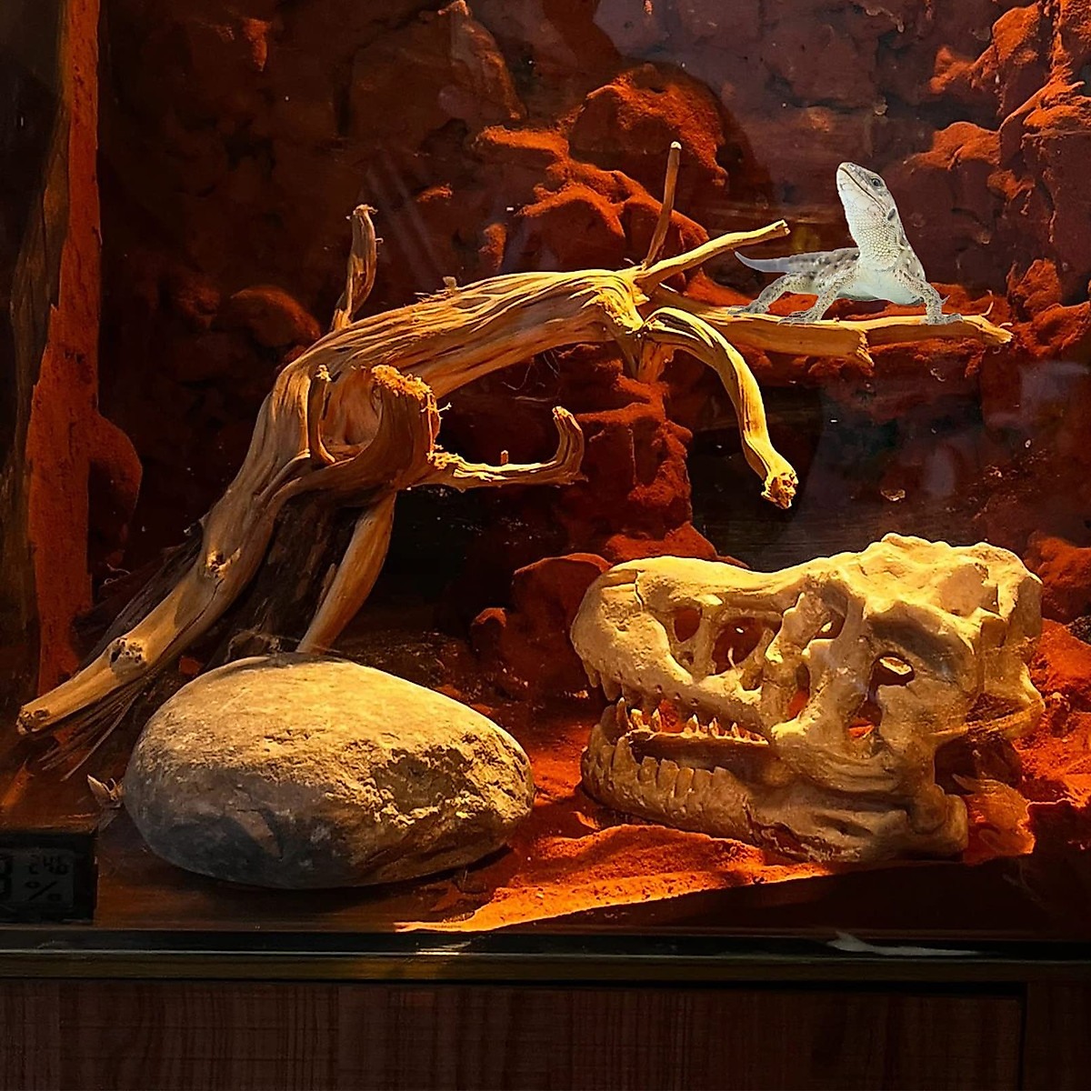 BNOSDM 2PCS Reptile Wood Branches Decor Lizard Habitat Decoration Snake Climbing Branch Accessories Terrarium Tree Trunk Ornament for Bearded Dragon Gecko Frog Chameleon Spider