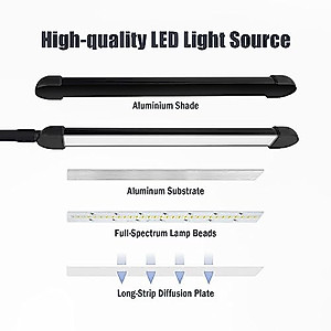 Phimuezl LED Desk Lamp with Clamp (Farmhouse)