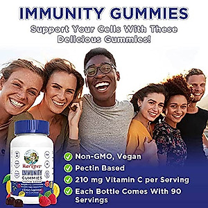 Immunity Gummies 5-in-1 by MaryRuth's (Raspberry Lemonade) | Powerful Blend of Zinc, Elderberry, Vitamin C, Vitamin D, and Echinacea for Kids & Adults | Vegan, Non-GMO, Gluten Free | 90ct